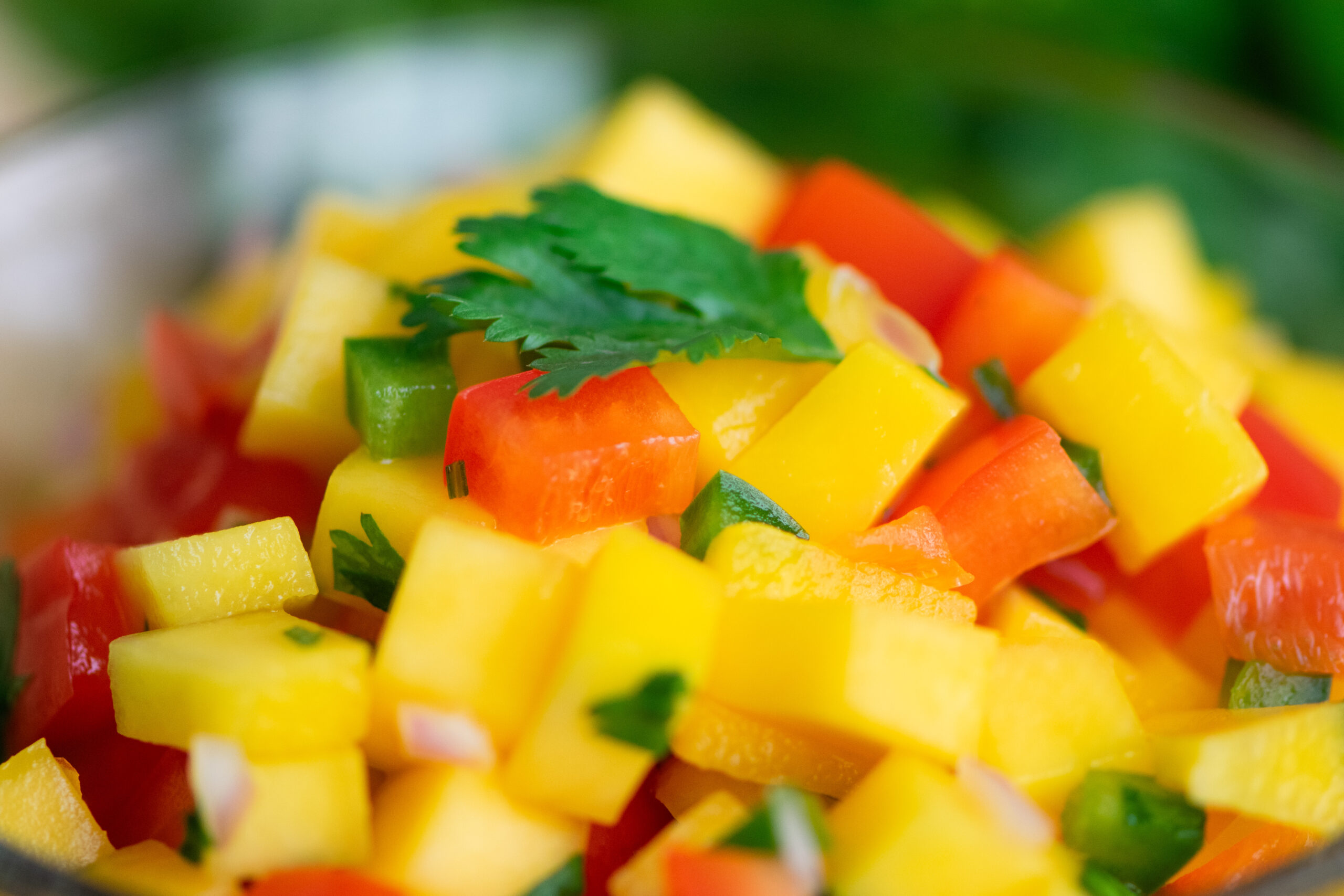 Quick Mango Salsa Recipe - realestreal.com