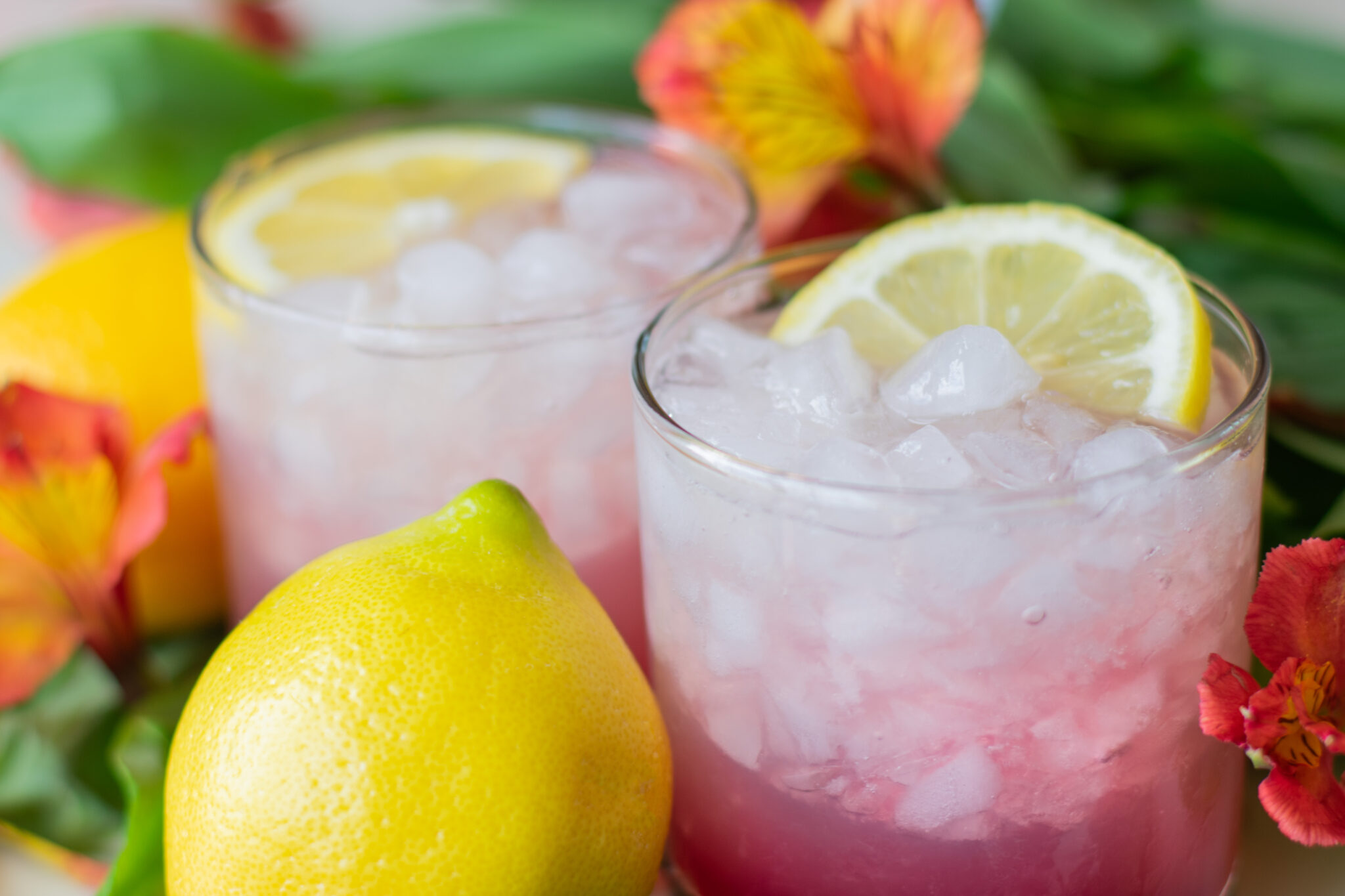 Azalea Drink Recipe (Fresh Masters Cocktail & Mocktail)